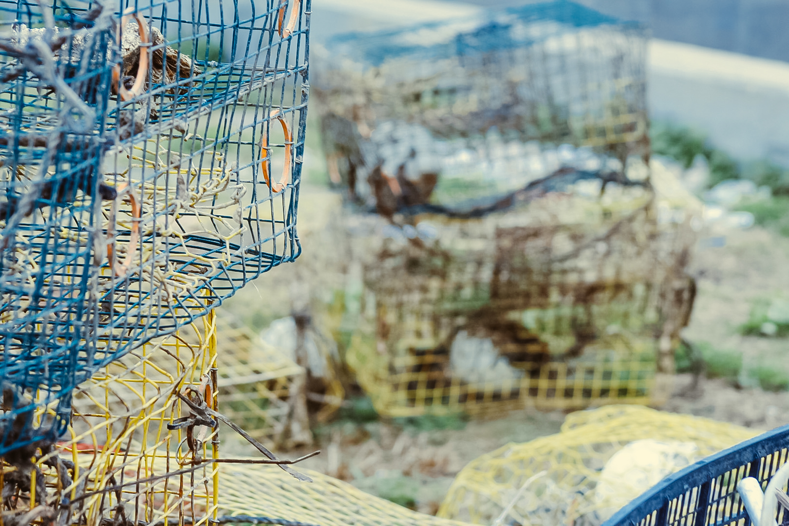 Crab Traps | crushemedia